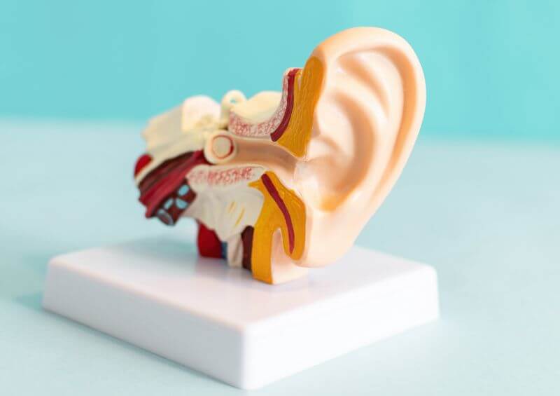 5 Things You Didn’t Know About Audiology - MedRx Hearing Center